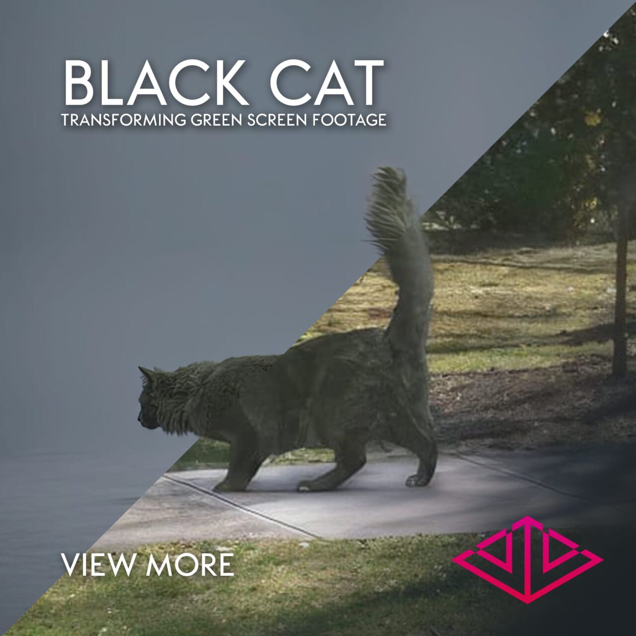 Black Cat | Victor Lin VFX