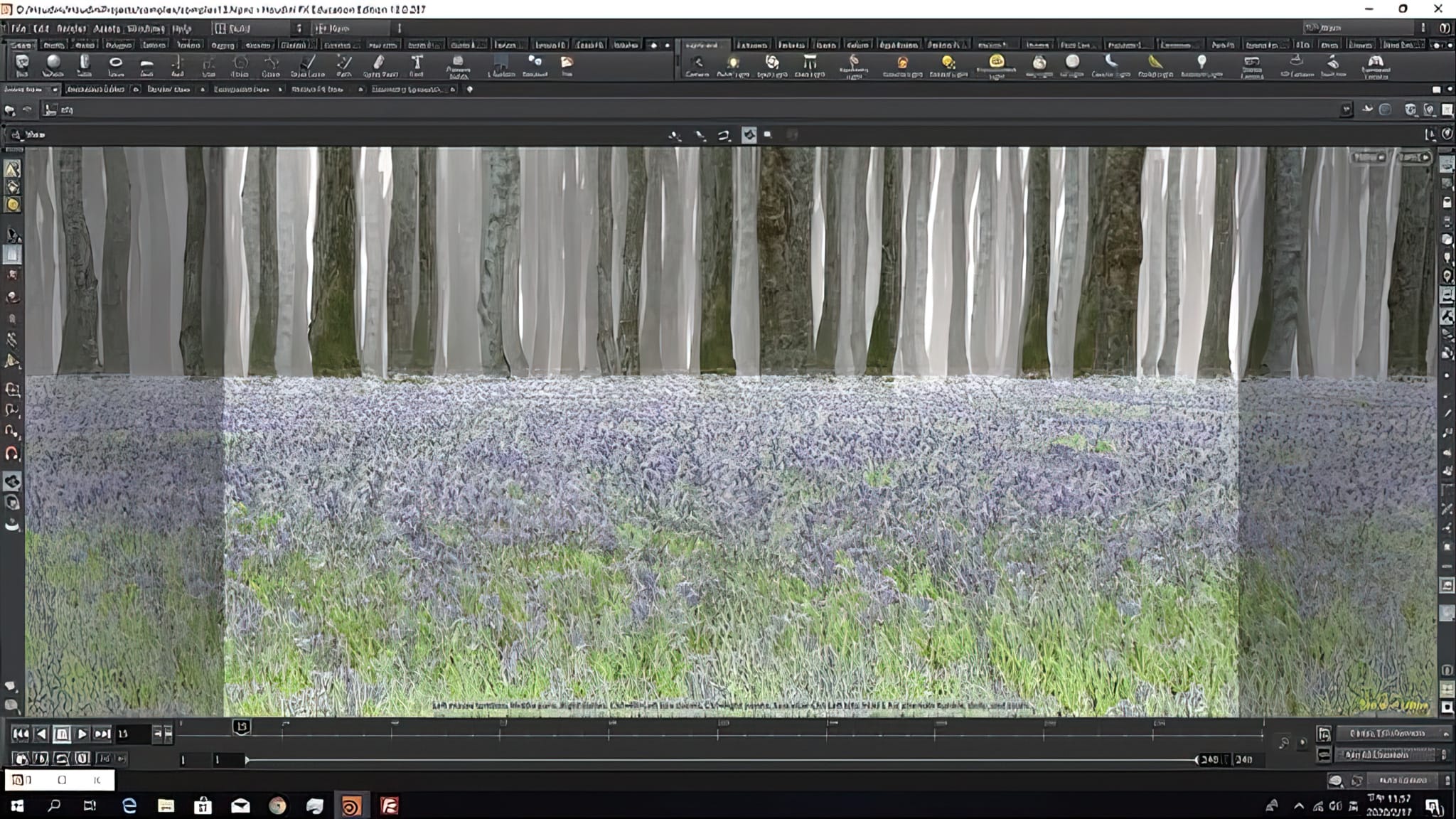 Enchanted Forest | Victor Lin VFX