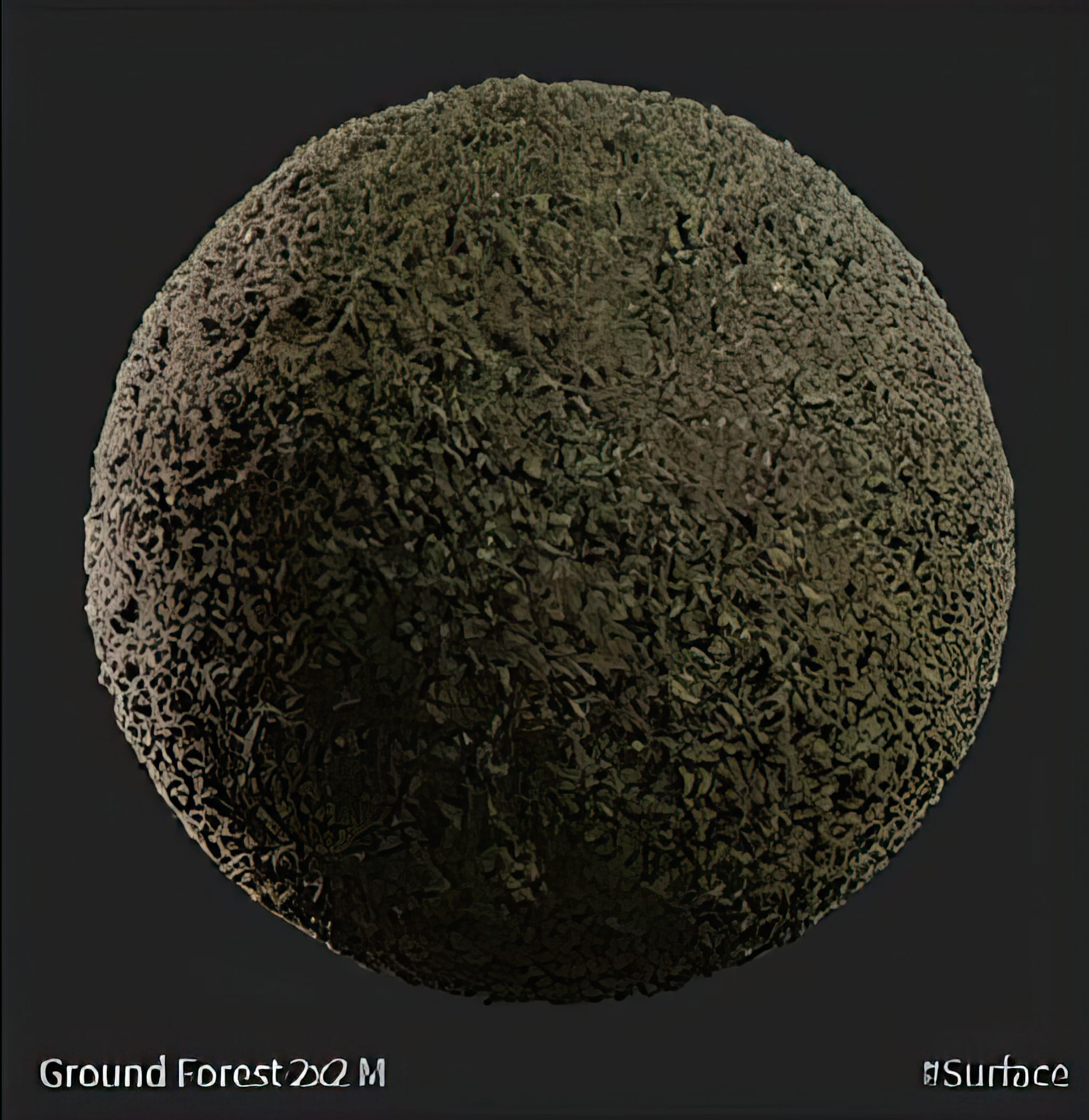 Enchanted Forest | Victor Lin VFX