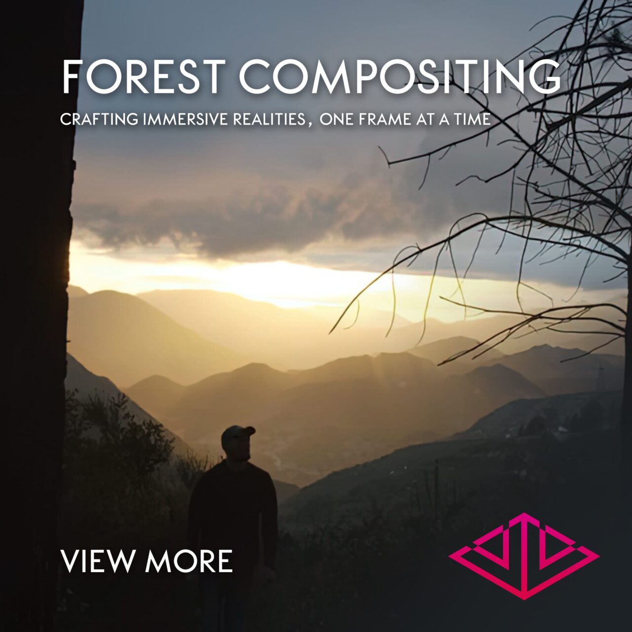 Forest Compositing | Victor Lin VFX